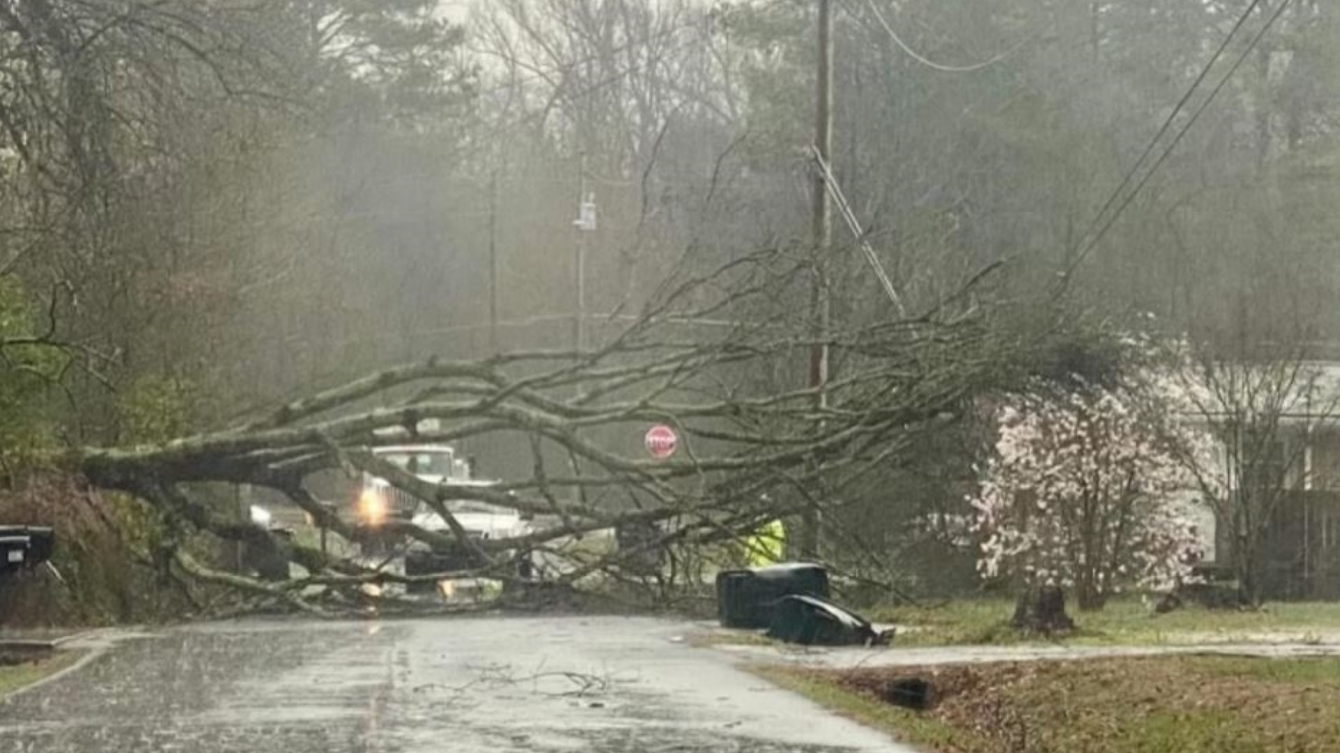 Road closures, trees down after severe storms in north Georgia – Cimxag