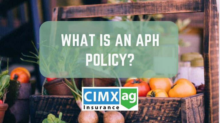 Understanding APH Policies – Cimxag